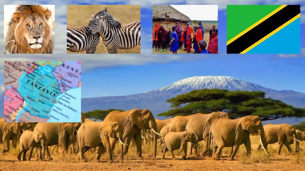 10 Facts about the Democratic Republic of Congo - 10 Facts About ...