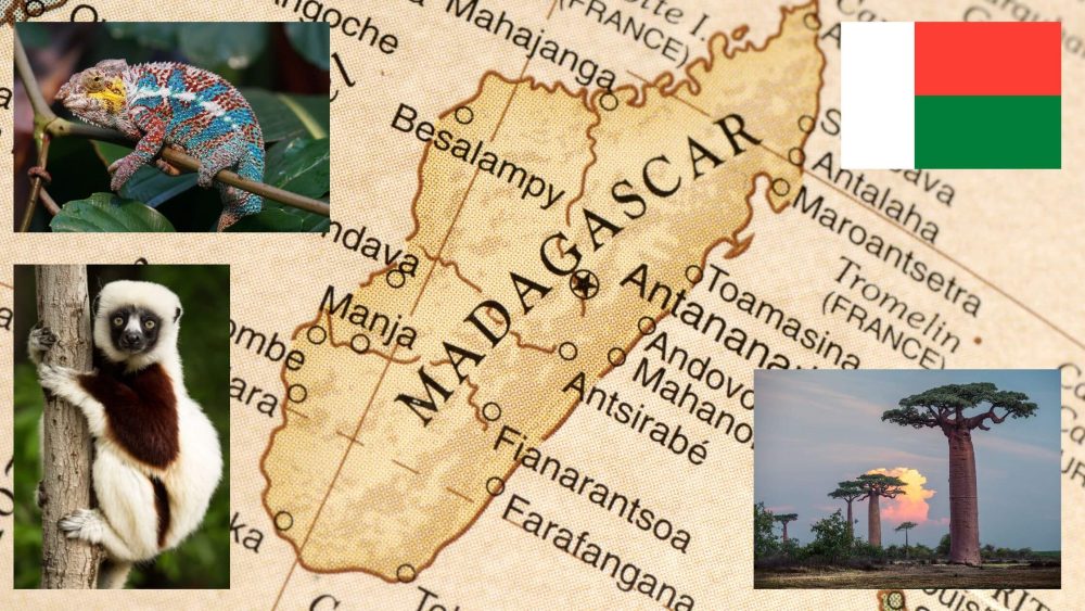 10 Facts about the Democratic Republic of Congo - 10 Facts About ...